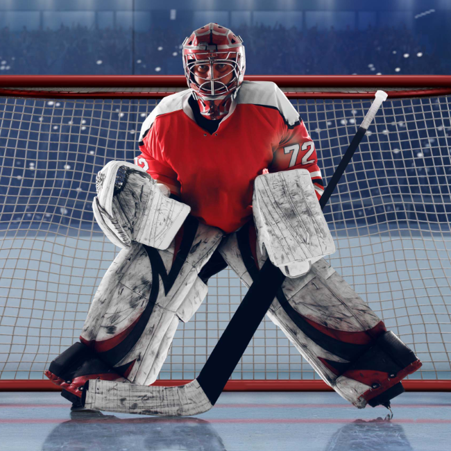 Goalie – Northern Sports Excellence